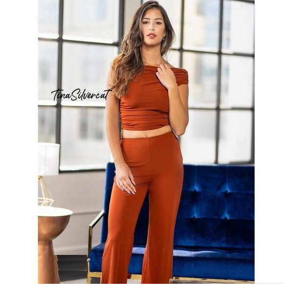 Zara | Pants & Jumpsuits | Bloggers Fave Zara 2 Piece Coord Pants And Top Set Terracotta Sz S ...